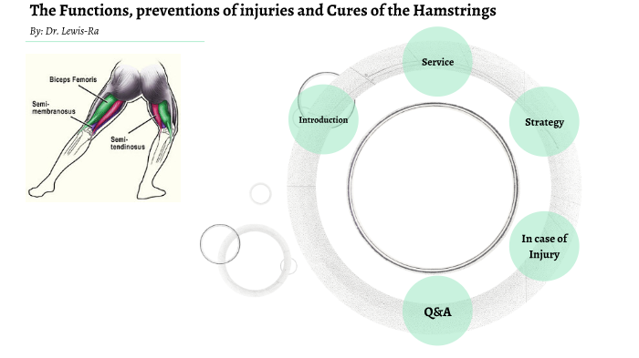 Hamstring presentation by on Prezi