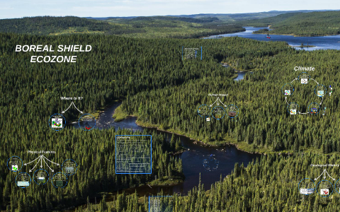 BOREAL SHIELD ECOZONE by Shivam Aggarwal on Prezi