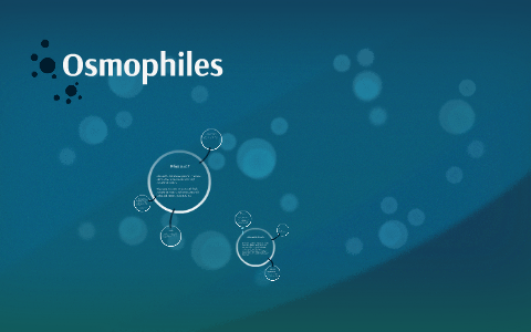 Osmophiles by Cristina Waumann on Prezi