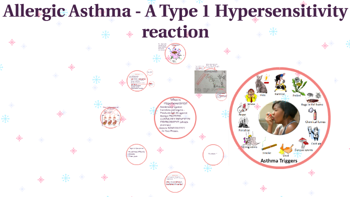 Allergic Asthma - A Type 1 Hypersensitivity reaction by Aminath Shafaq ...