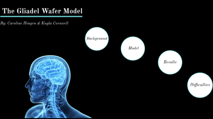 The Gliadel Wafer Model by Caroline Heagen on Prezi