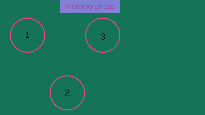 Grete Samsa Metamorphosis by Jayla Williams on Prezi