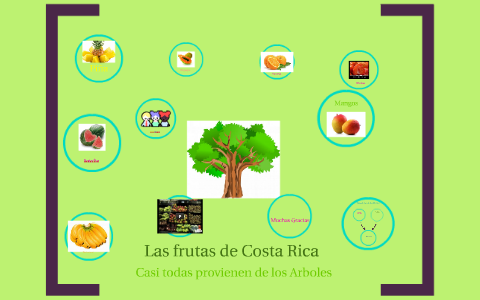 Las frutas de Costa Rica by cecilia Solís H