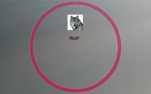 The Fierce Wolf by Robert Vipperman on Prezi