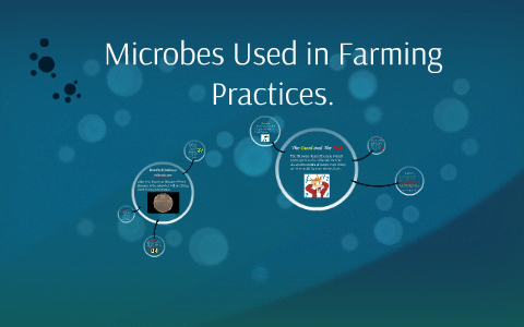 Microbes Used in Farming Practices. by Sara Parkinson on Prezi