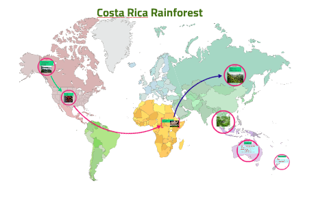 Costa Rica Rainforest by Abby Mason on Prezi