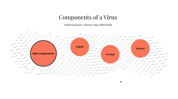 Components of a virus by Chylene Ong on Prezi