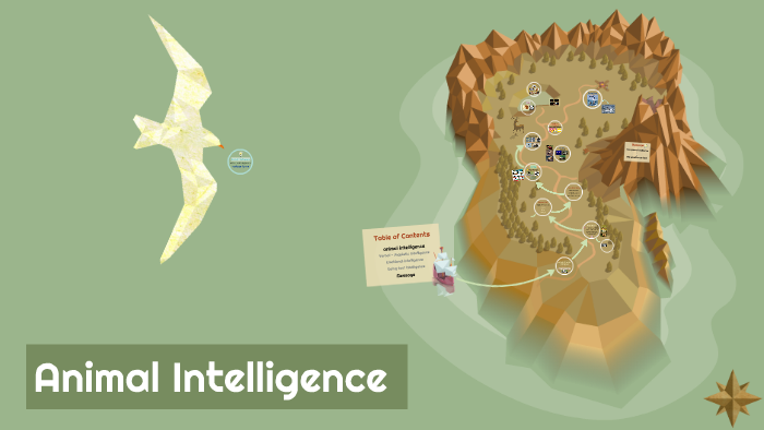 Animal Intelligence by 예나 조 on Prezi
