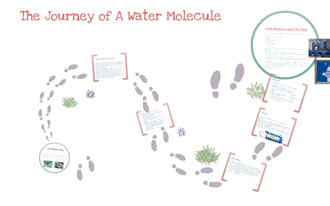 The Journey of A Water Molecule by Jaylin Polanco on Prezi
