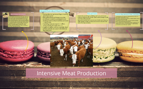 Intensive Meat Production by Liselle Starkey on Prezi