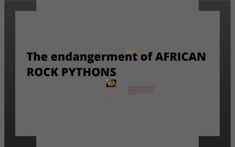 Pythons by Zachary Peyton on Prezi