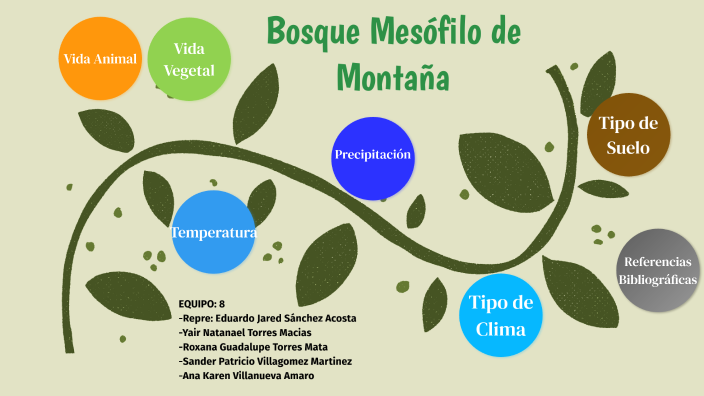 Bosque Mesófilo de Montaña by eduardo acosta on Prezi
