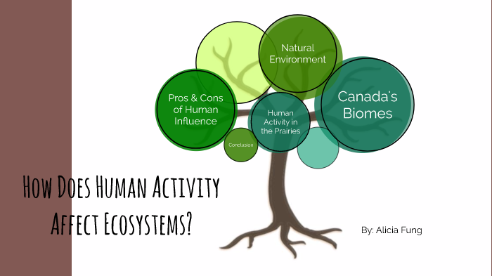 Human Activity and Ecosystems by Alicia Fung on Prezi