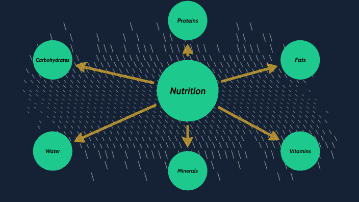 Ahmed Nutrition Mind Map by Ahmed Ali on Prezi