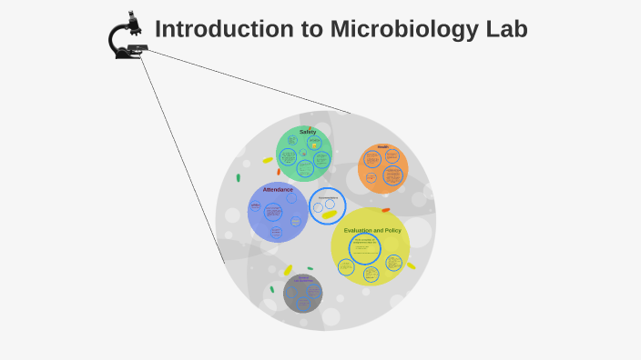 BIOL 206 Intro 2025 by Lacy Basile on Prezi
