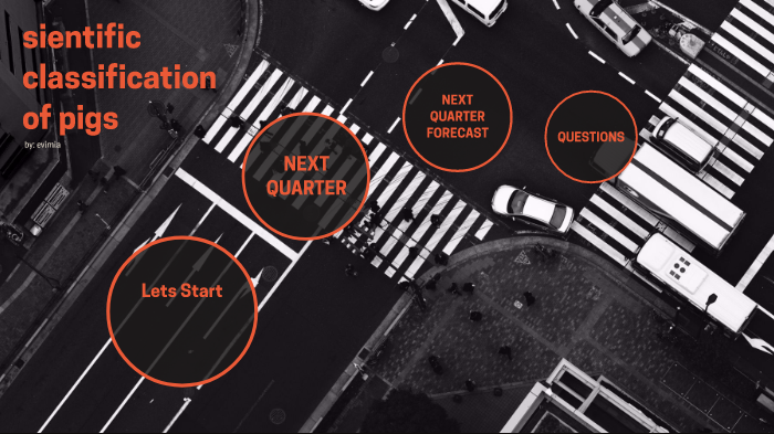 scientific classification of pigs by Evimia Carter on Prezi