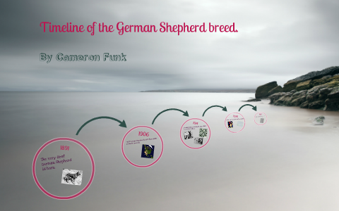 Timeline of the German Shepherd breed. by Cameron Funk on Prezi
