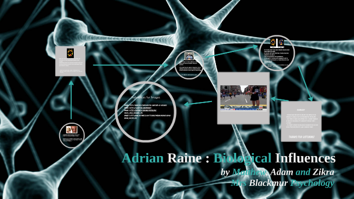 Adrian Raine : Biological Influences by Matthew Choi on Prezi