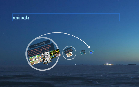 different types of oceans by nichole jeans