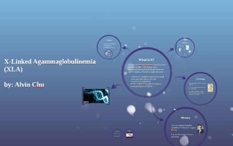 X-Linked Agammaglobulinemia (XLA) by Alvin Chu on Prezi