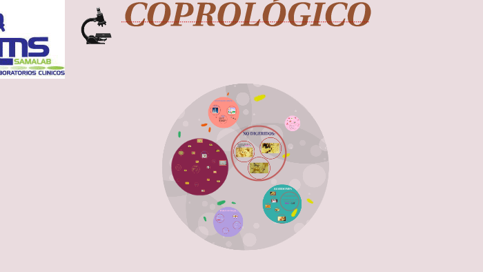 COPROLÓGICO by PERLA NIETO on Prezi