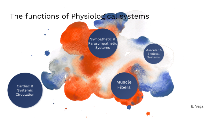 The Functions of Physiological Systems by Ericka Vega on Prezi