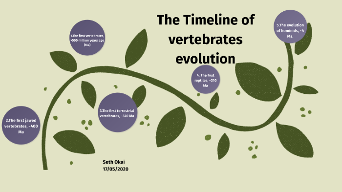 The Timeline of Vertebrate Evolution by Inspiro_yt on Prezi