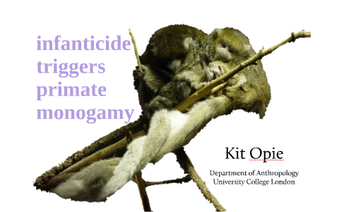 Infanticide triggers primate monogamy by Kit Opie on Prezi