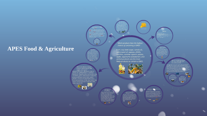 APES Food & Agriculture by Gavin McHugh on Prezi