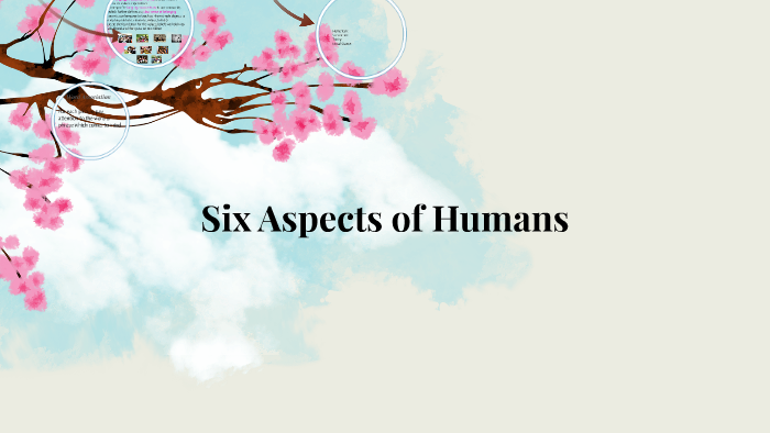 Six Aspects of Humans by Abigail Kelly on Prezi