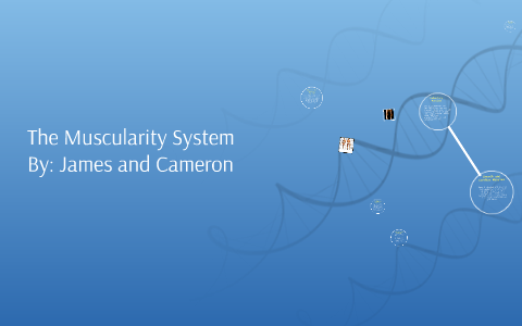 The Muscularity System by James Decker on Prezi