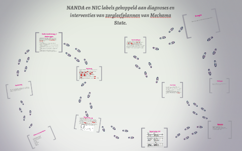 NANDA en NIC labels gekoppeld aan diagnoses en interventies by Douwe ...