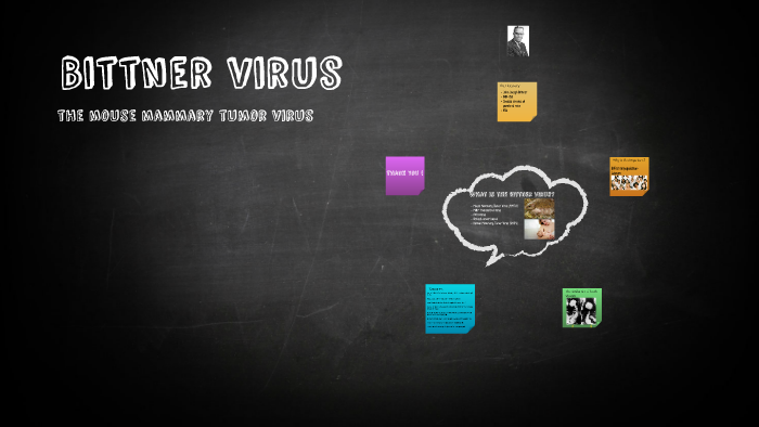 Bittner virus by jakyra smith on Prezi
