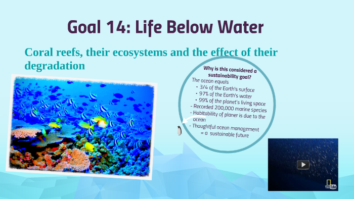 Sustainability Goal 14: Life Below the Water by Johnny Peisker on Prezi