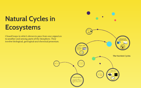 Natural Cycles in Ecosystems by Daniela Selvera Lee on Prezi