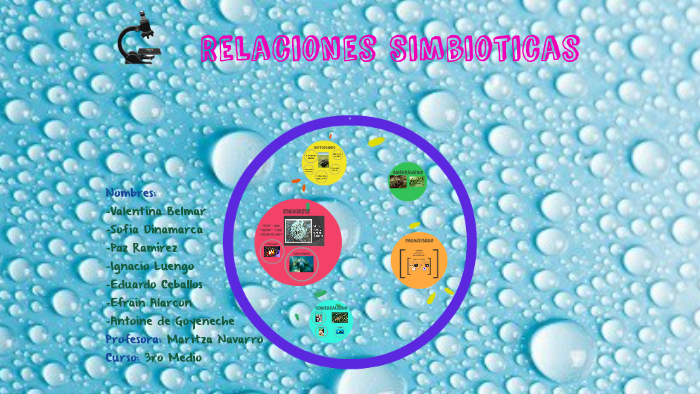 Relaciones Simbioticas by Bele Panda Ramírez R on Prezi