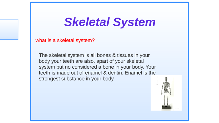 Skeletal System by shyanne harris on Prezi