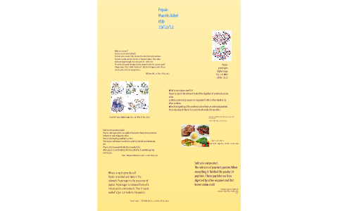 Enzymes poster by Maurits Göbel on Prezi