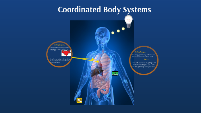 Coordinated Body Systems by Allarna Langford on Prezi