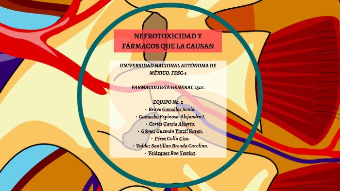Nefrotoxicidad y fármacos que la causan. by Yutzil Guzmán on Prezi