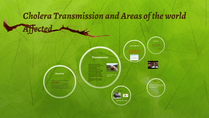 Cholera Transmission and Areas of the world Affected by nick gnadinger ...