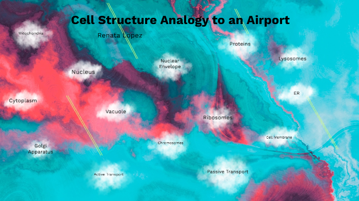 Cell structure Analogy by renata lopez on Prezi