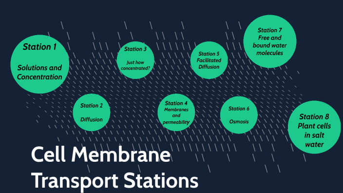Cell Membrane Transport Stations by Alison Crocker on Prezi