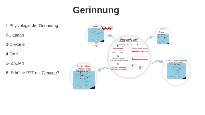 Gerinnung by Khaled Nemer on Prezi