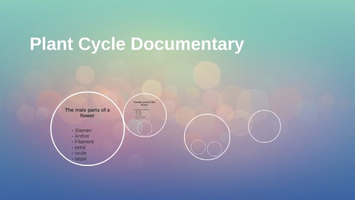 Plant Cycle Documentary by on Prezi