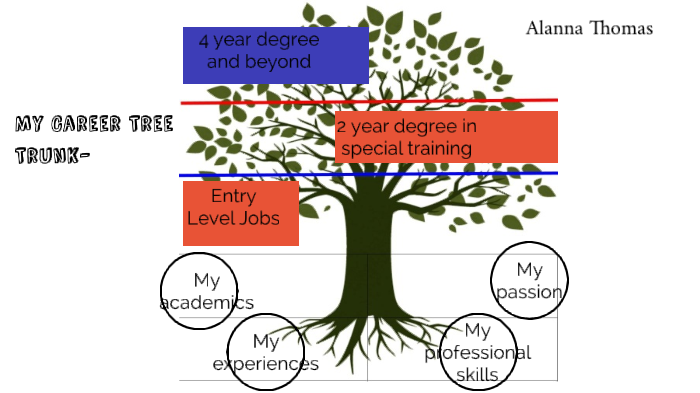 Career Tree by Alanna Thomas on Prezi