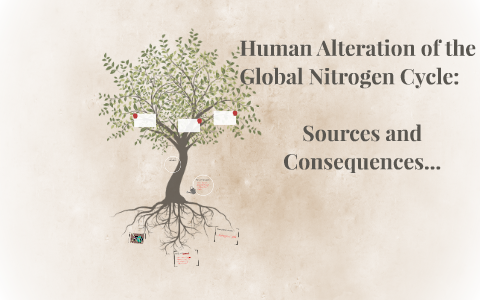 Human Alteration of the Global Nitrogen Cycle: Sources and C by Jordan ...