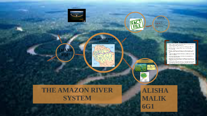 THE AMAZON RIVER SYSTEM by alisha malik on Prezi