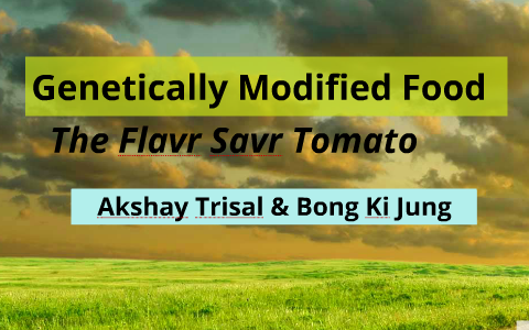 The Flavr Savr Tomato by Andy Jung on Prezi