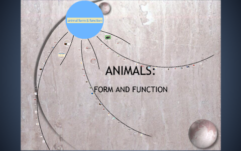 Conformer – an animal is said to be a conformer for a partic by ...